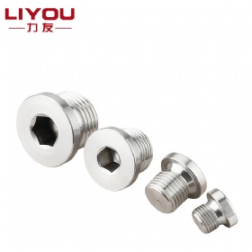 Hex Socket Head Pipe Plug | Hydraulic Sealing Plug Supplier | Zhejiang ...